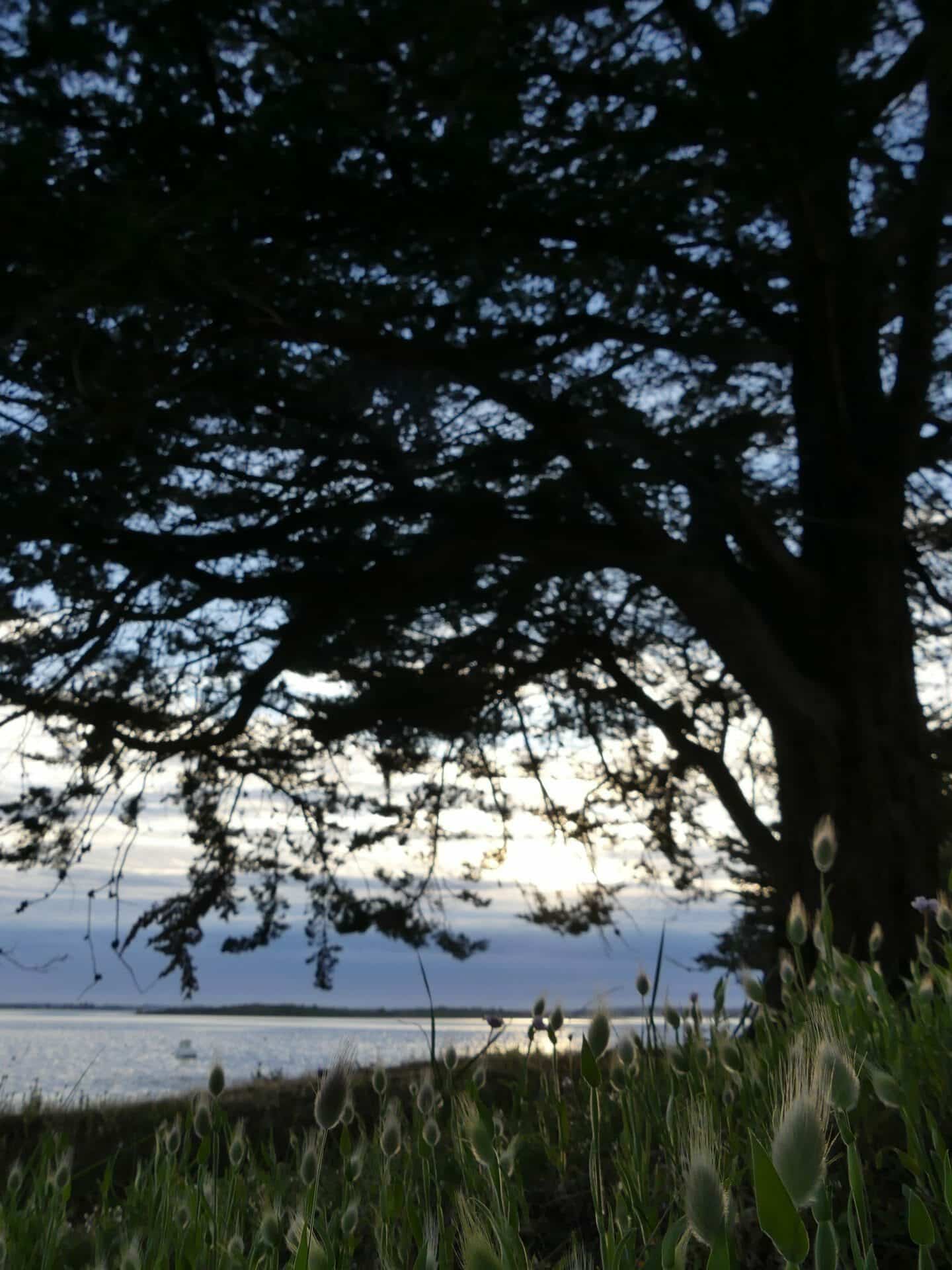 Séné, un lieu idéal dans le golfe du Morbihan en Bretagne sud