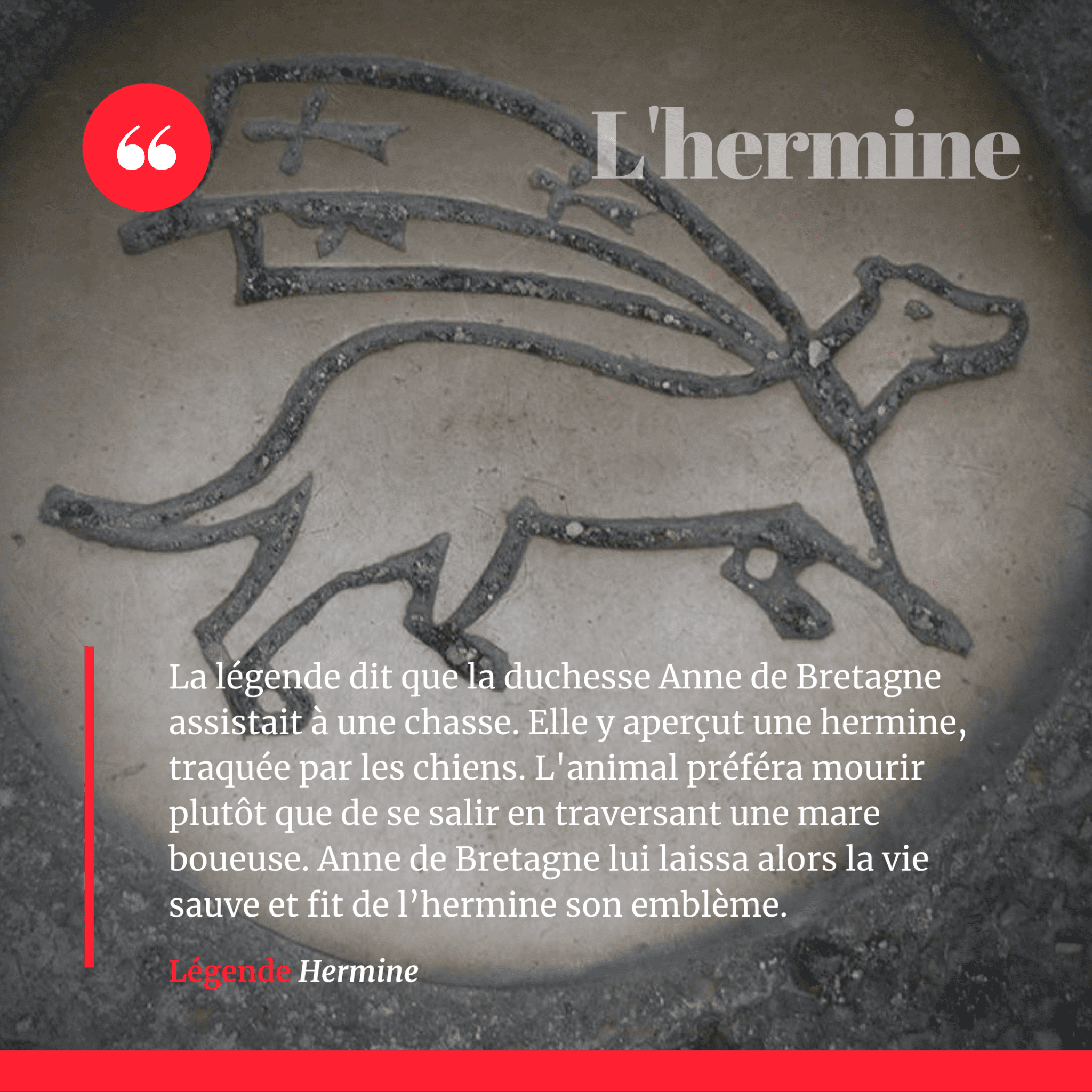 La voilà la Blanche Hermine, un symbole fort en Bretagne