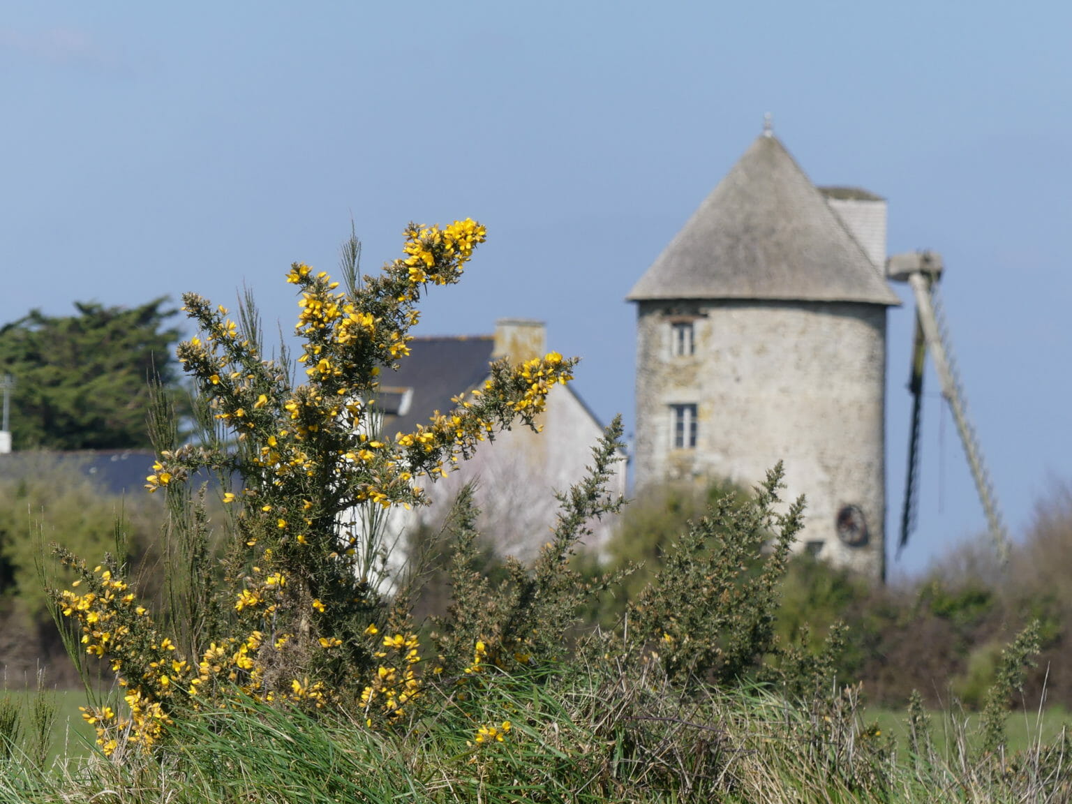 Découvrir Damgan, une commune du littoral situé en Bretagne sud