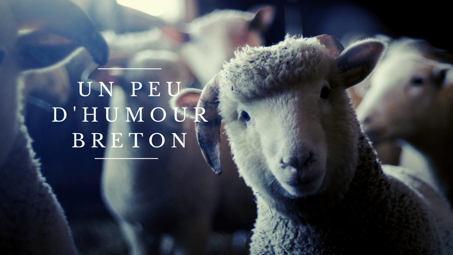 Un peu d'humour breton pour activer vos zygomatiques