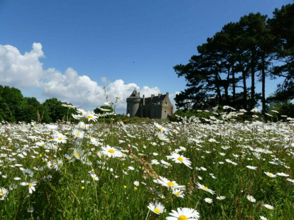 Explorez Sarzeau en presqu'île de Rhuys : château, ports, plages