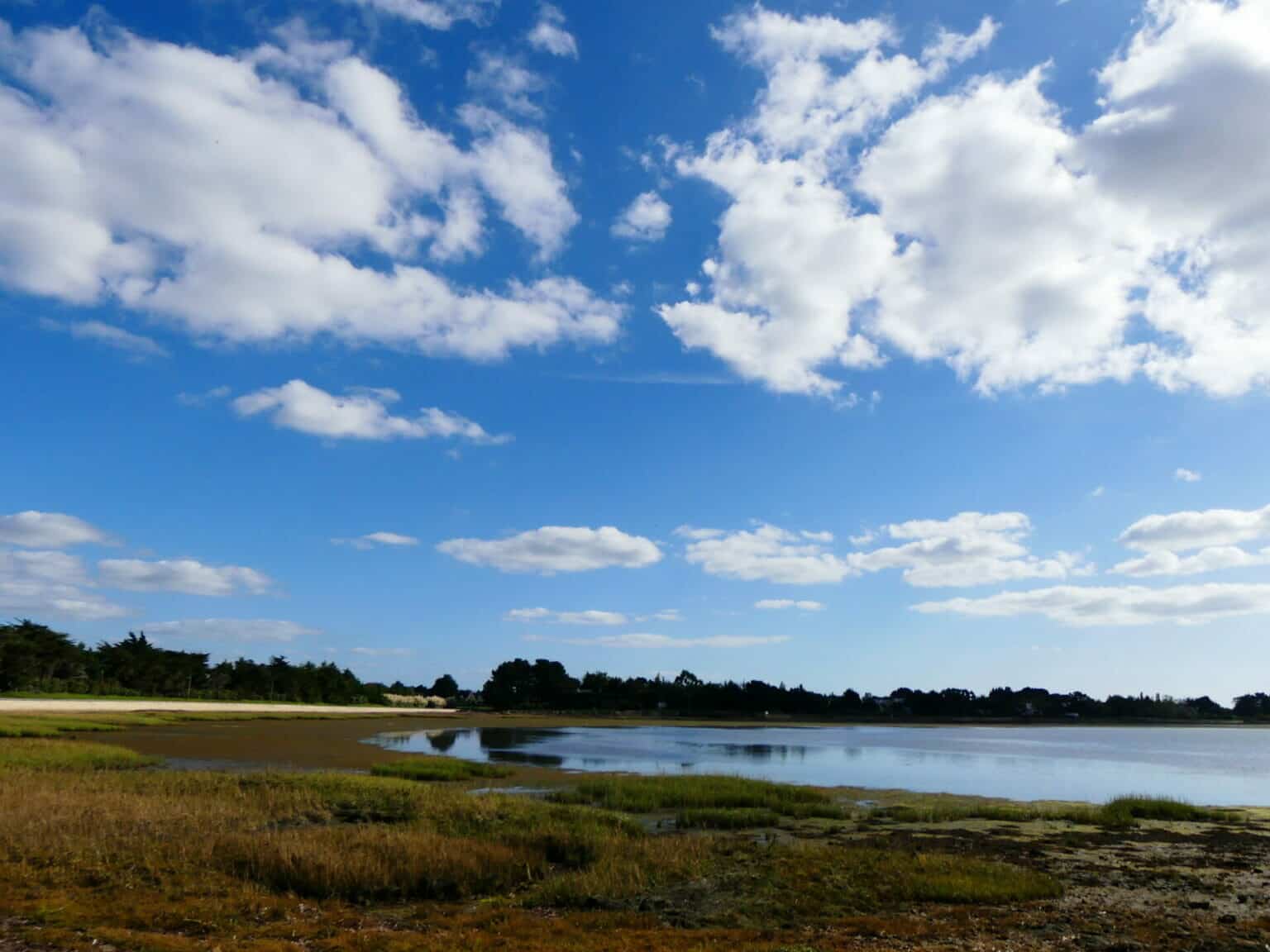 Découvrir l'île Tascon à Saint-Armel dans le Golfe du Morbihan