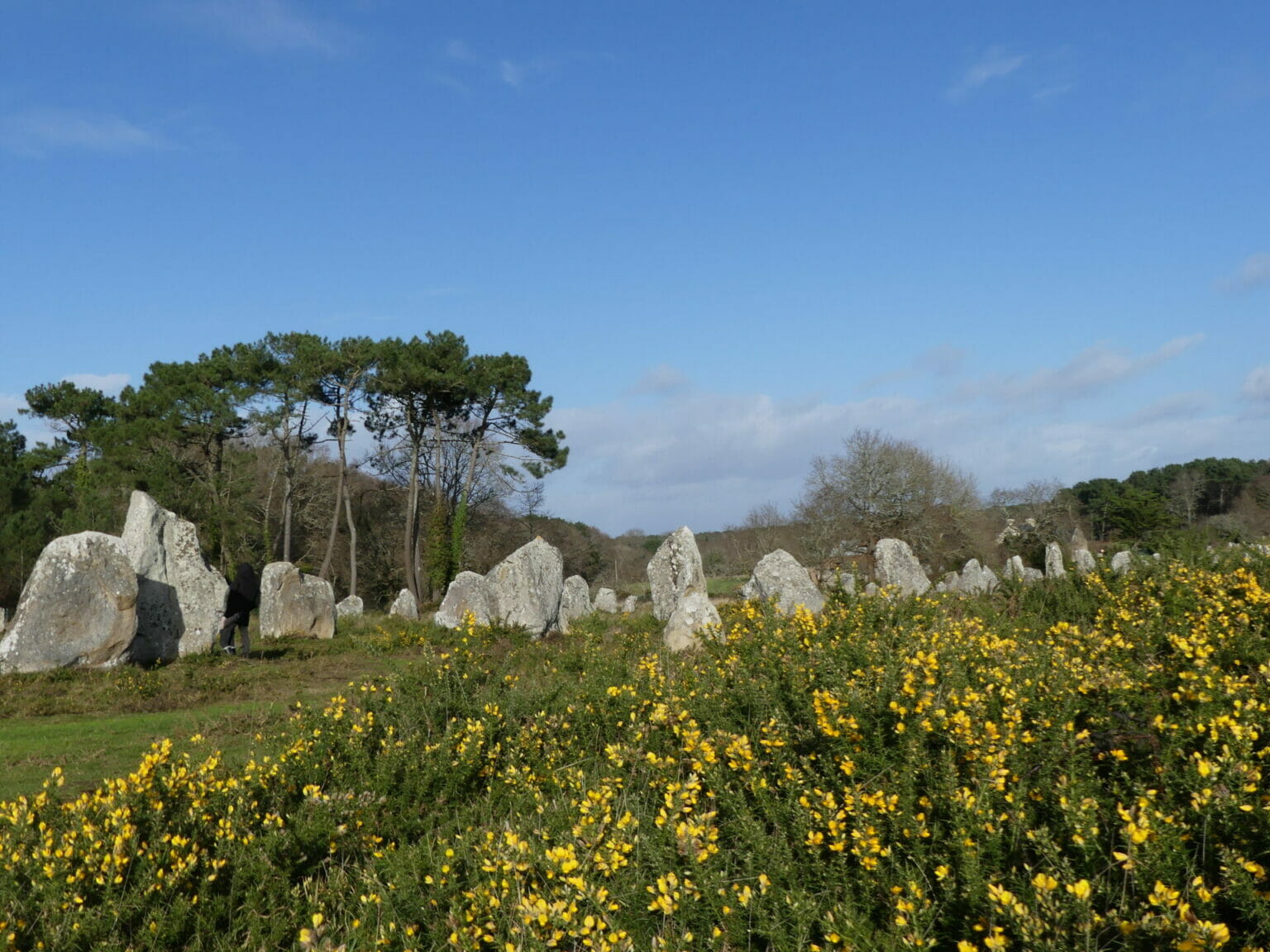 Explorez les alignements de Carnac, un site fascinant et mystérieux